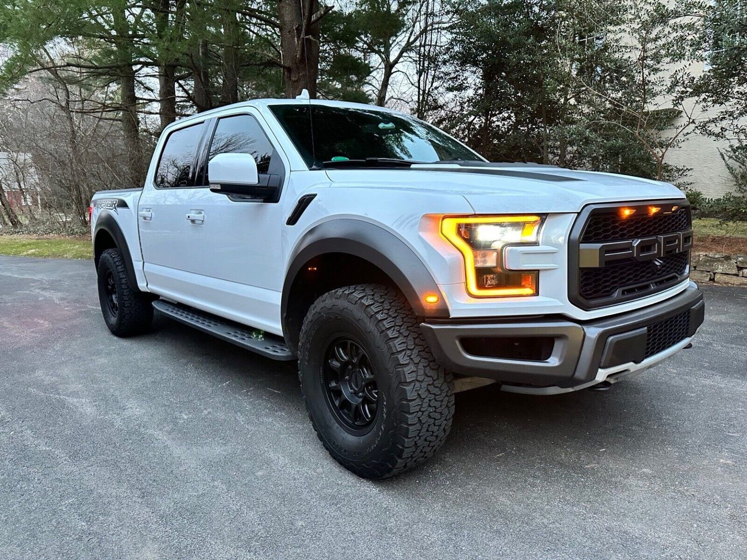 2019 Ford F-150 Raptor offroad [loaded with options] for sale
