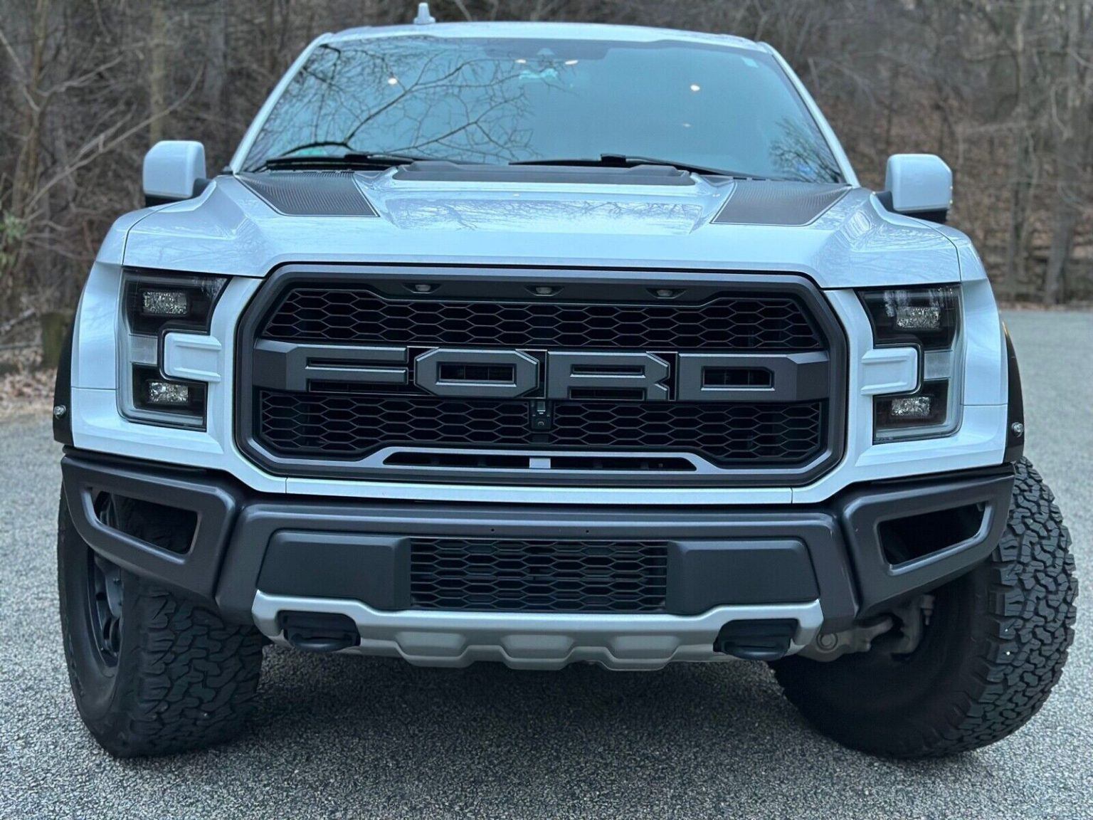2019 Ford F-150 Raptor offroad [loaded with options] for sale
