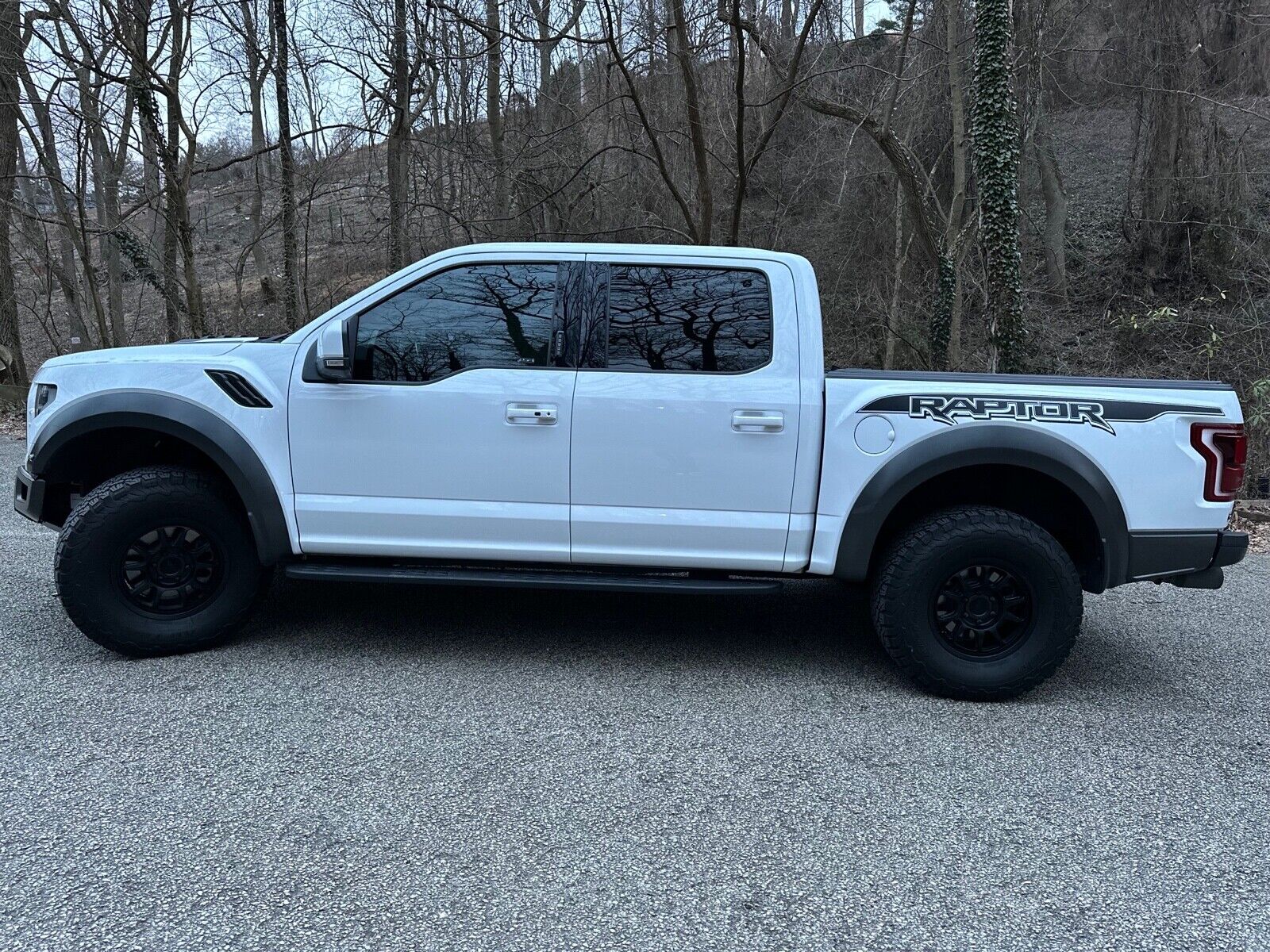 2019 Ford F-150 Raptor offroad [loaded with options] for sale